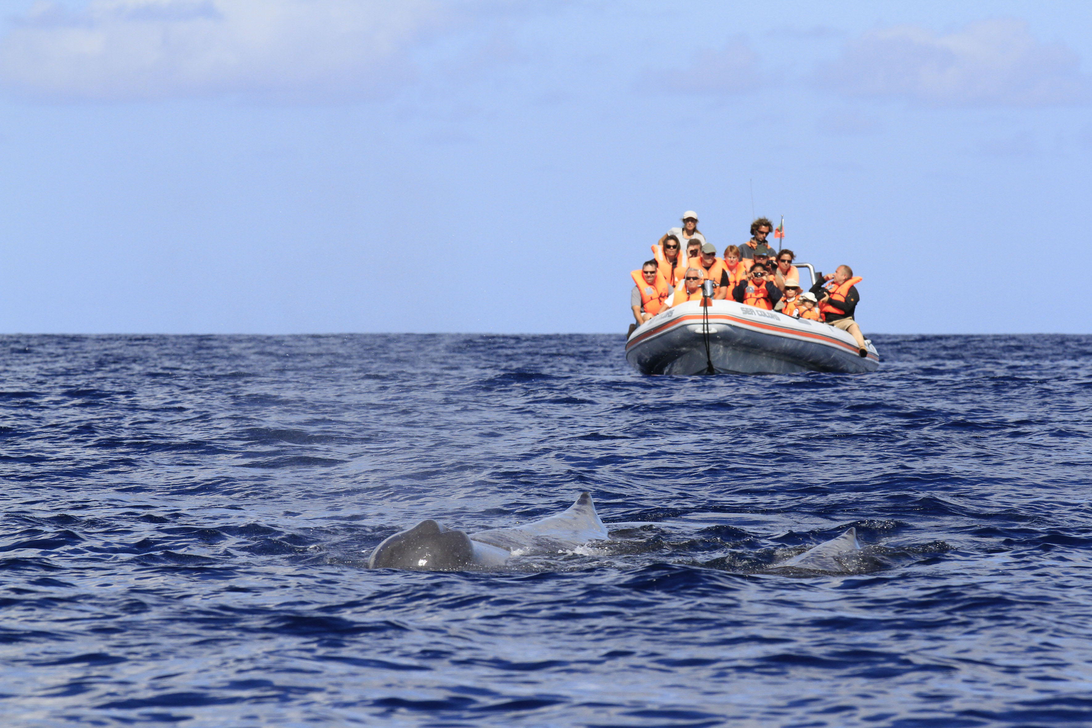 Blue BioTech Roadshow nos Açores contribui para desenvolvimento da ...
